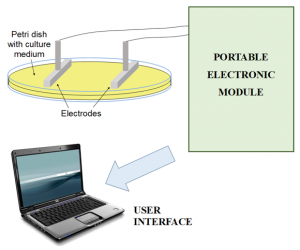 System for bacterial growth monitoring
